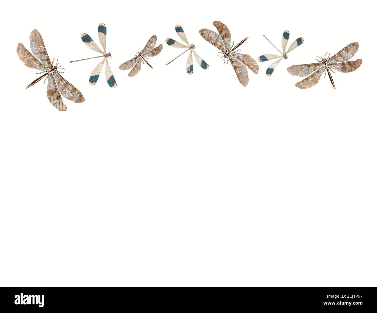 Dragonfly Border Clip Art