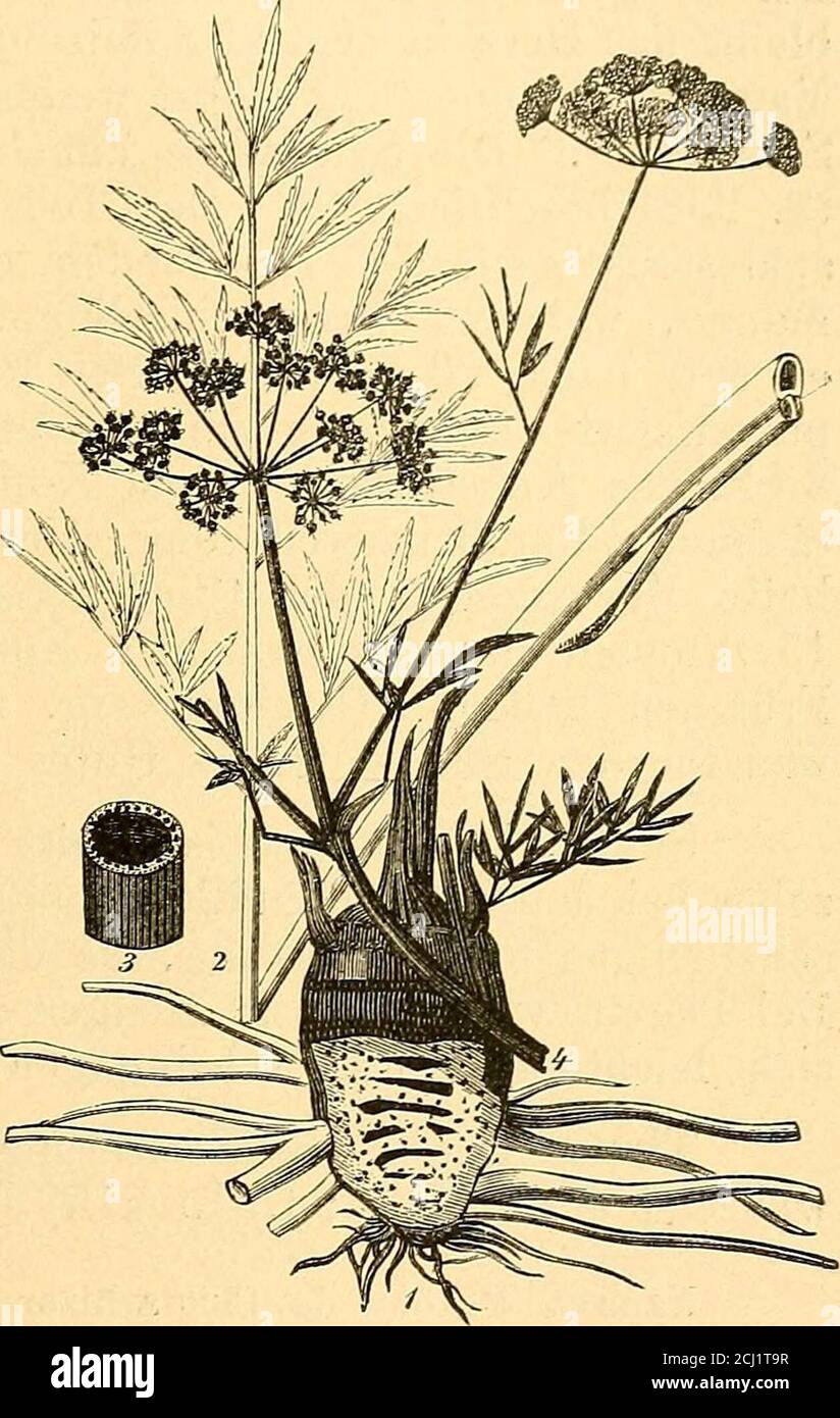 Unwirk hi-res stock photography and images - Alamy