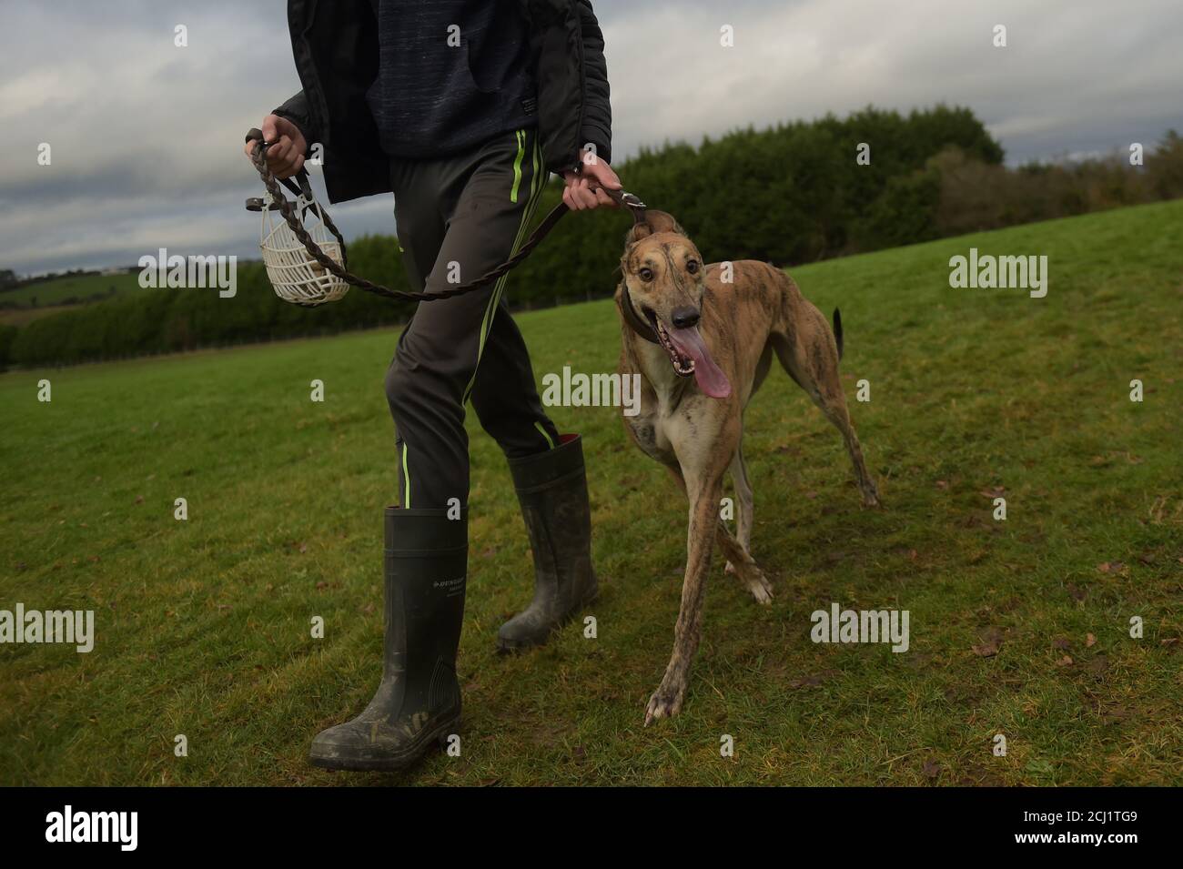 Coursing field hi-res stock photography and images - Alamy
