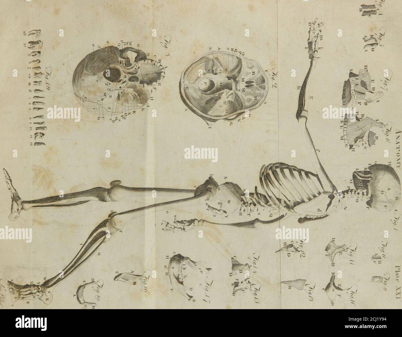 . A compendious system of anatomy : in six parts : part I : Osteology ...