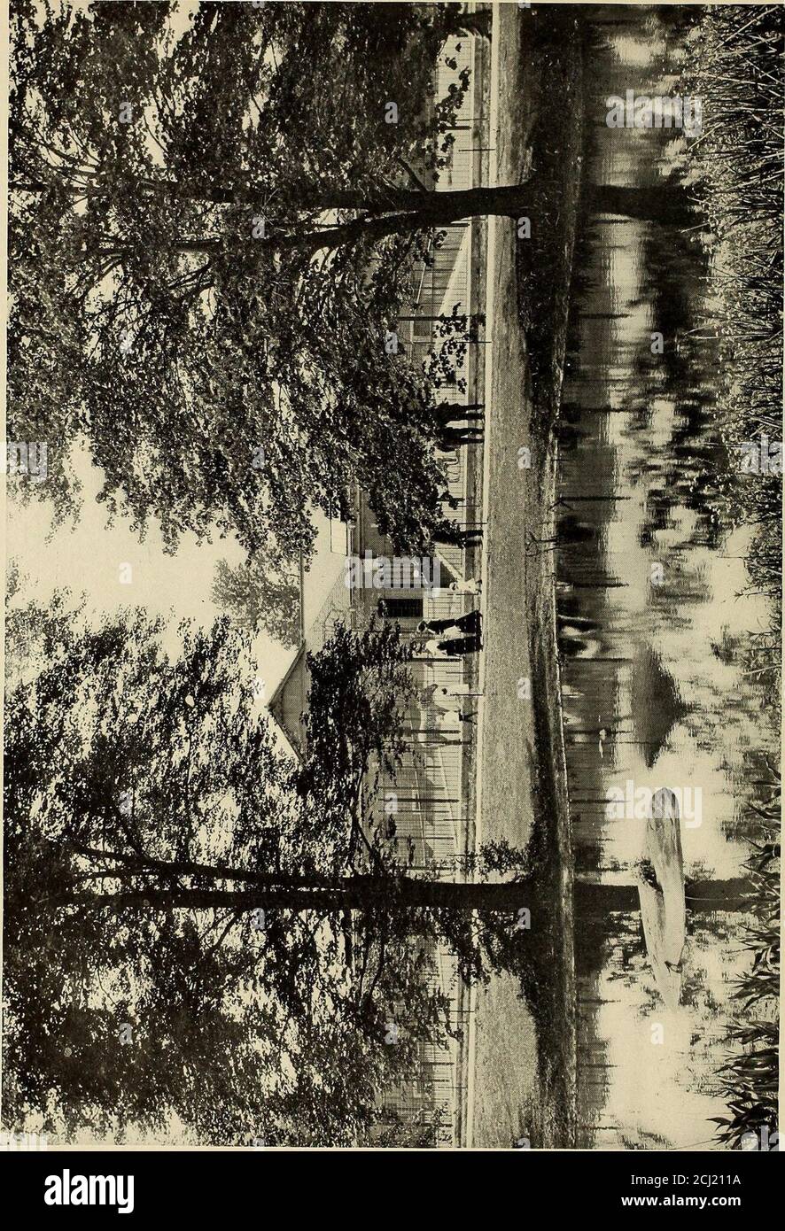 William beebe blair hi-res stock photography and images - Alamy