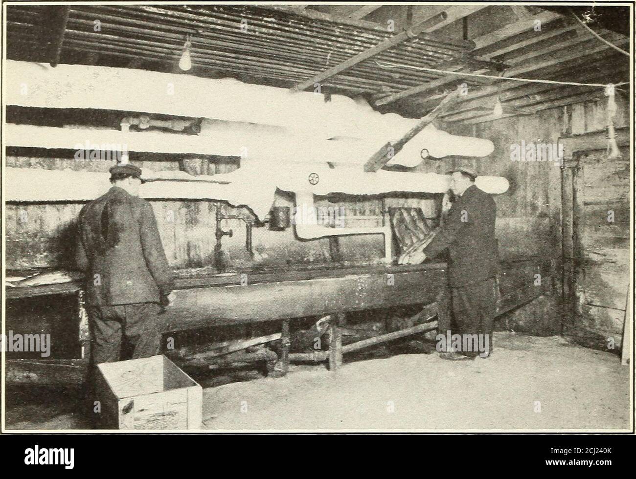 . The commercial freezing and storing of fish . Fig. 1.—Putting Fish in ...