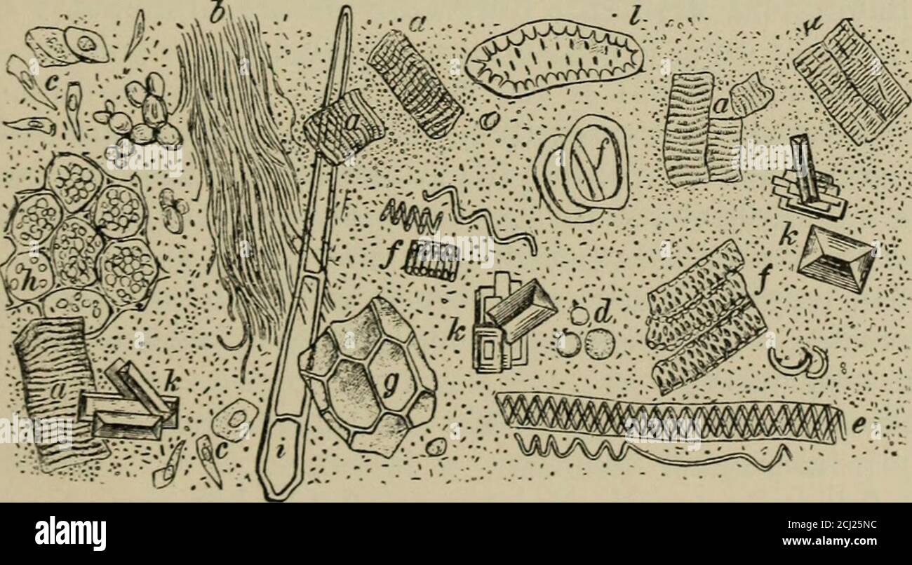 . A manual of clinical diagnosis by means of microscopical and chemical ...