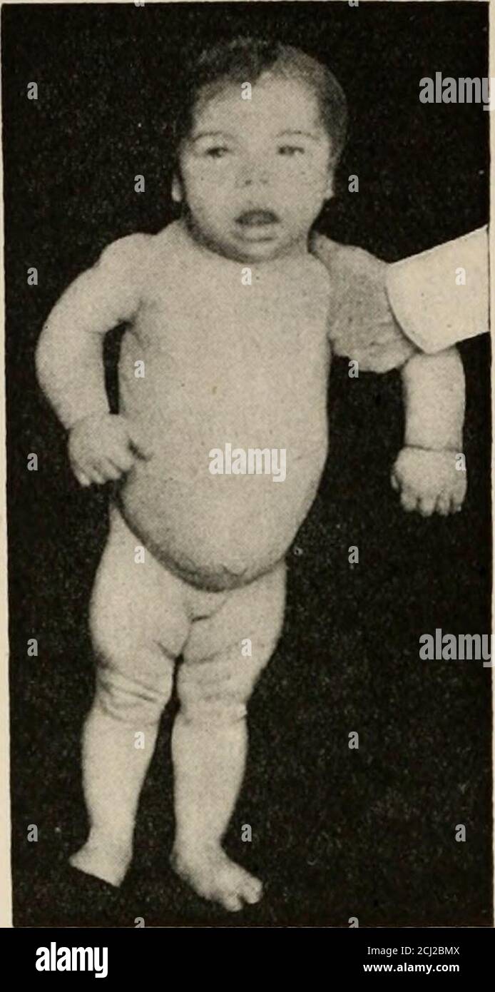 . The endocrine organs; an introduction to the study of internal ...