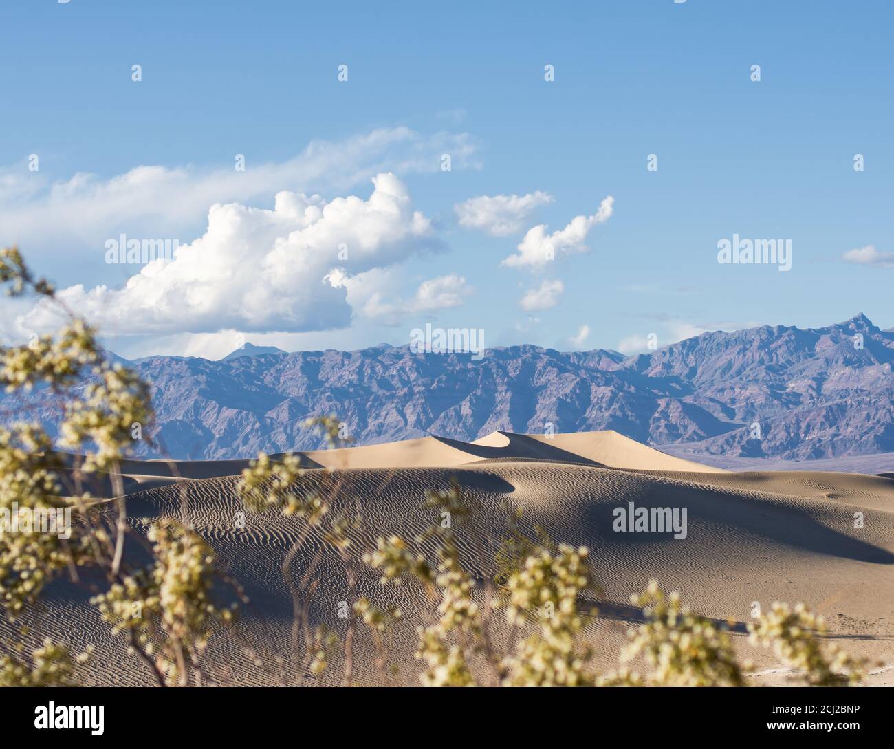 Valley backdrop hi-res stock photography and images - Alamy