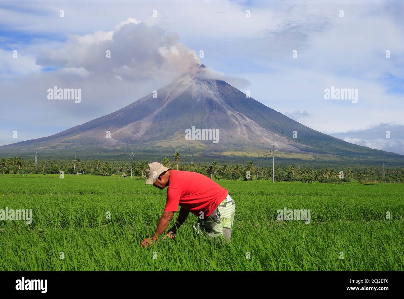 Mayon volcano eruption farmer hi-res stock photography and images - Alamy