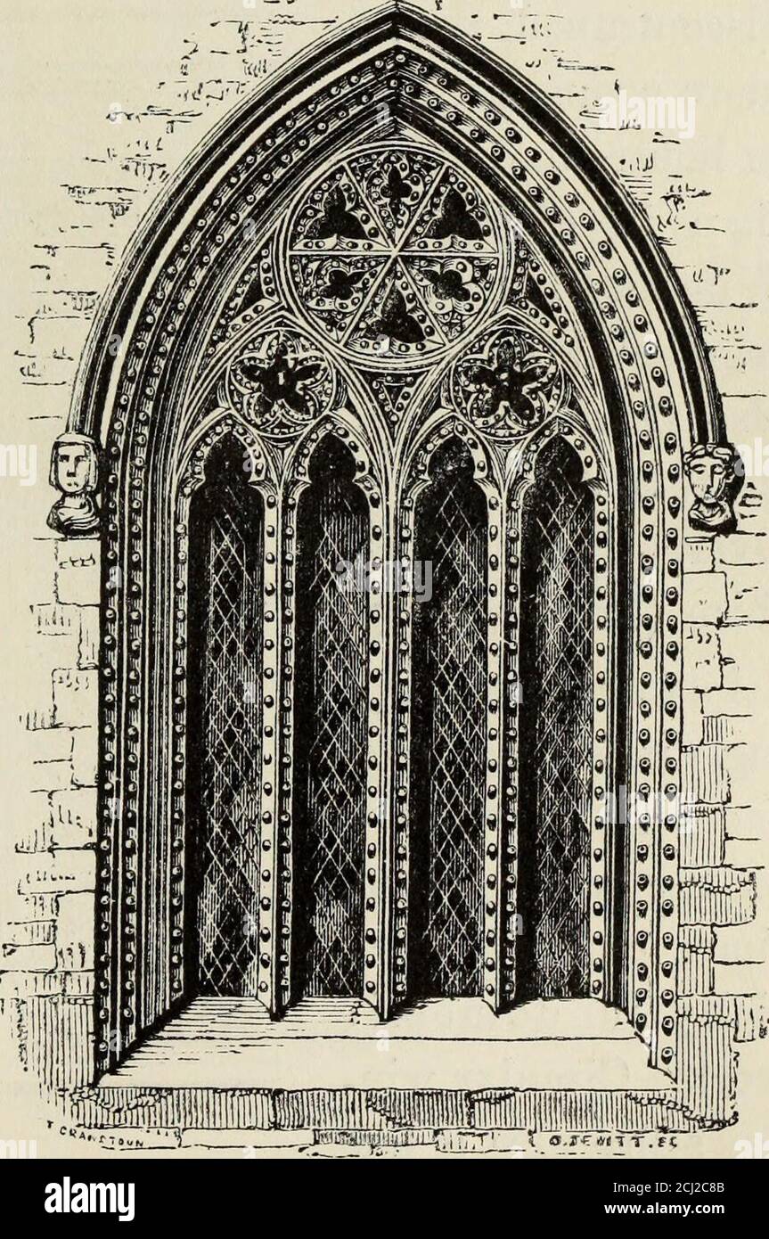 Reticulated Tracery High Resolution Stock Photography and Images - Alamy