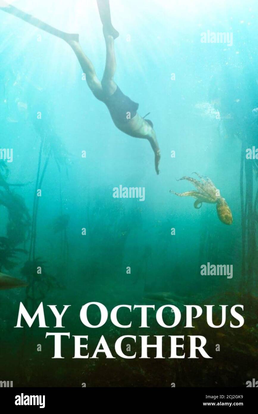 MY OCTOPUS TEACHER, poster, Craig Foster, 2020. © Netflix / Courtesy ...