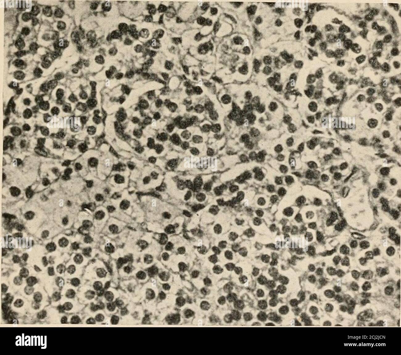 . The endocrine organs; an introduction to the study of internal ...