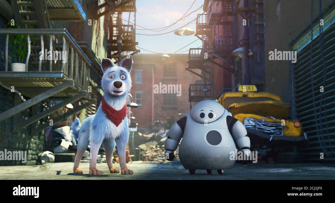 PETS UNITED, from left: Roger, Bob, 2019. © Netflix / Courtesy Everett ...