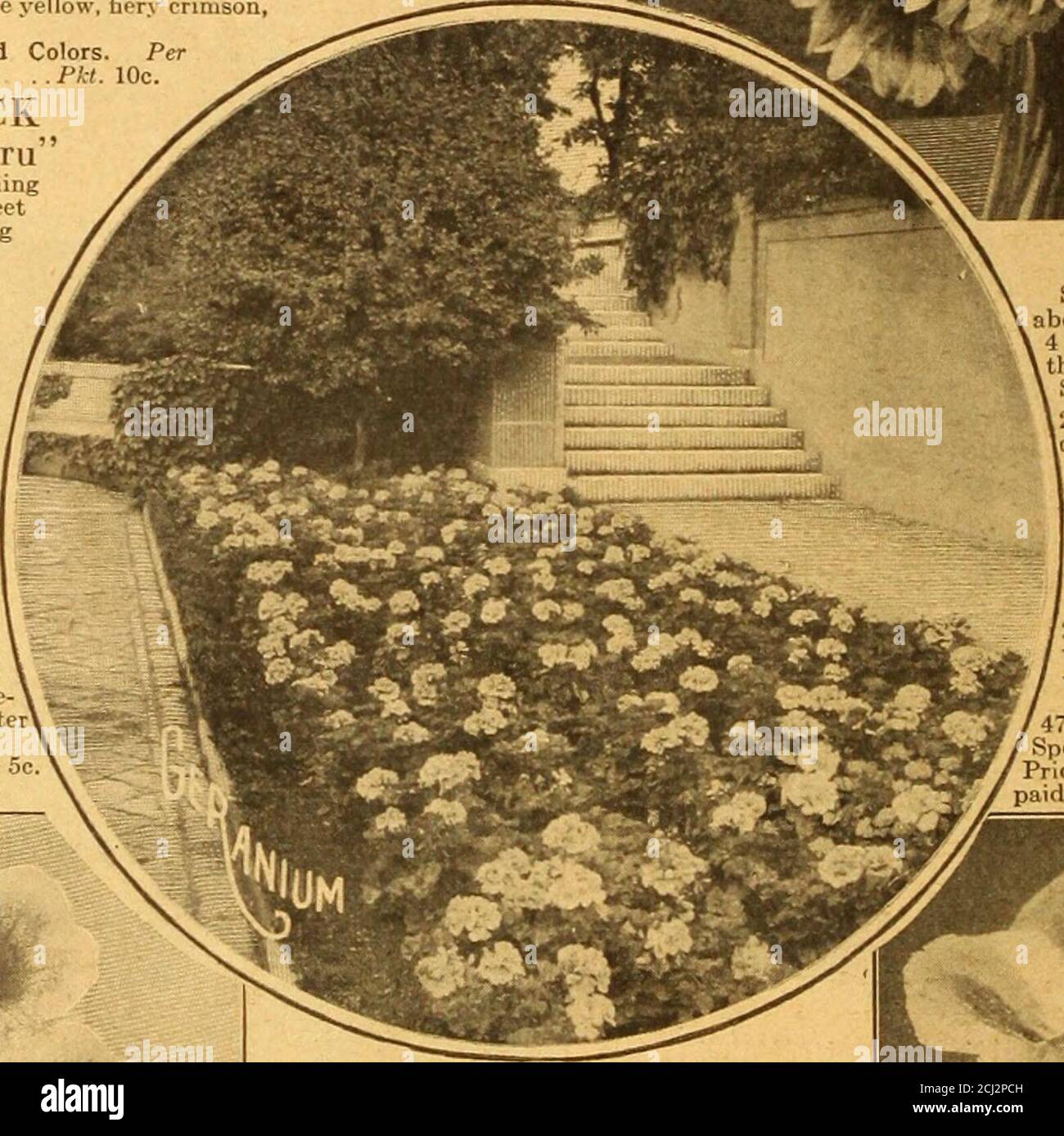 . Everything for the garden : 1920 Stock Photo - Alamy