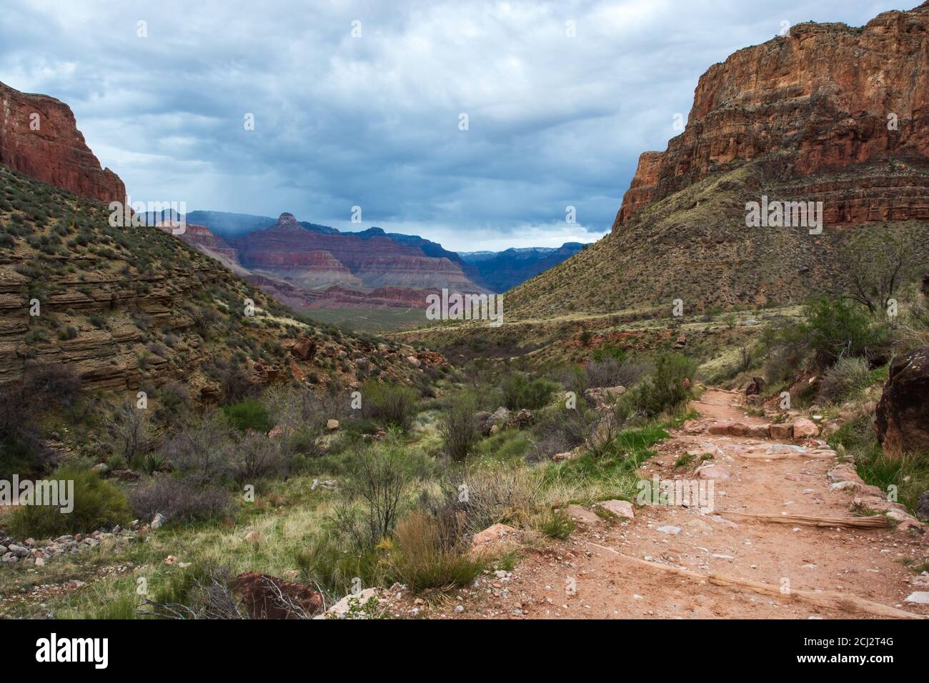 Grand Canyon National Park in early spring Stock Photo - Alamy