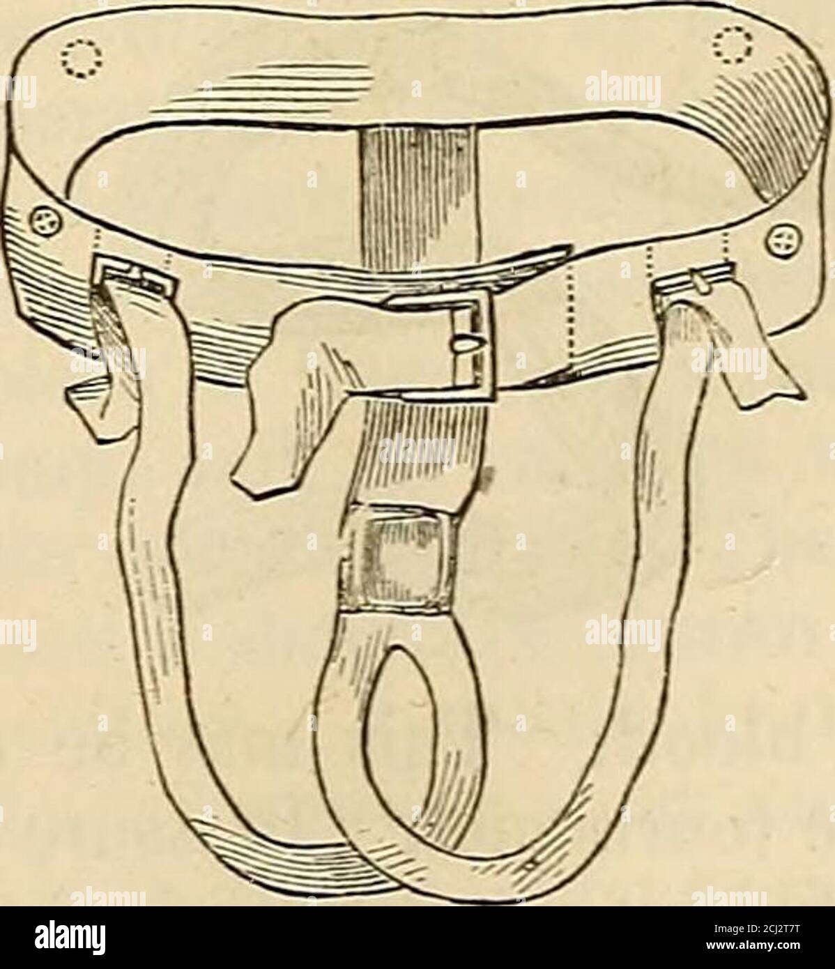 . The principles and practice of modern surgery . XVI. Bandage for the ...