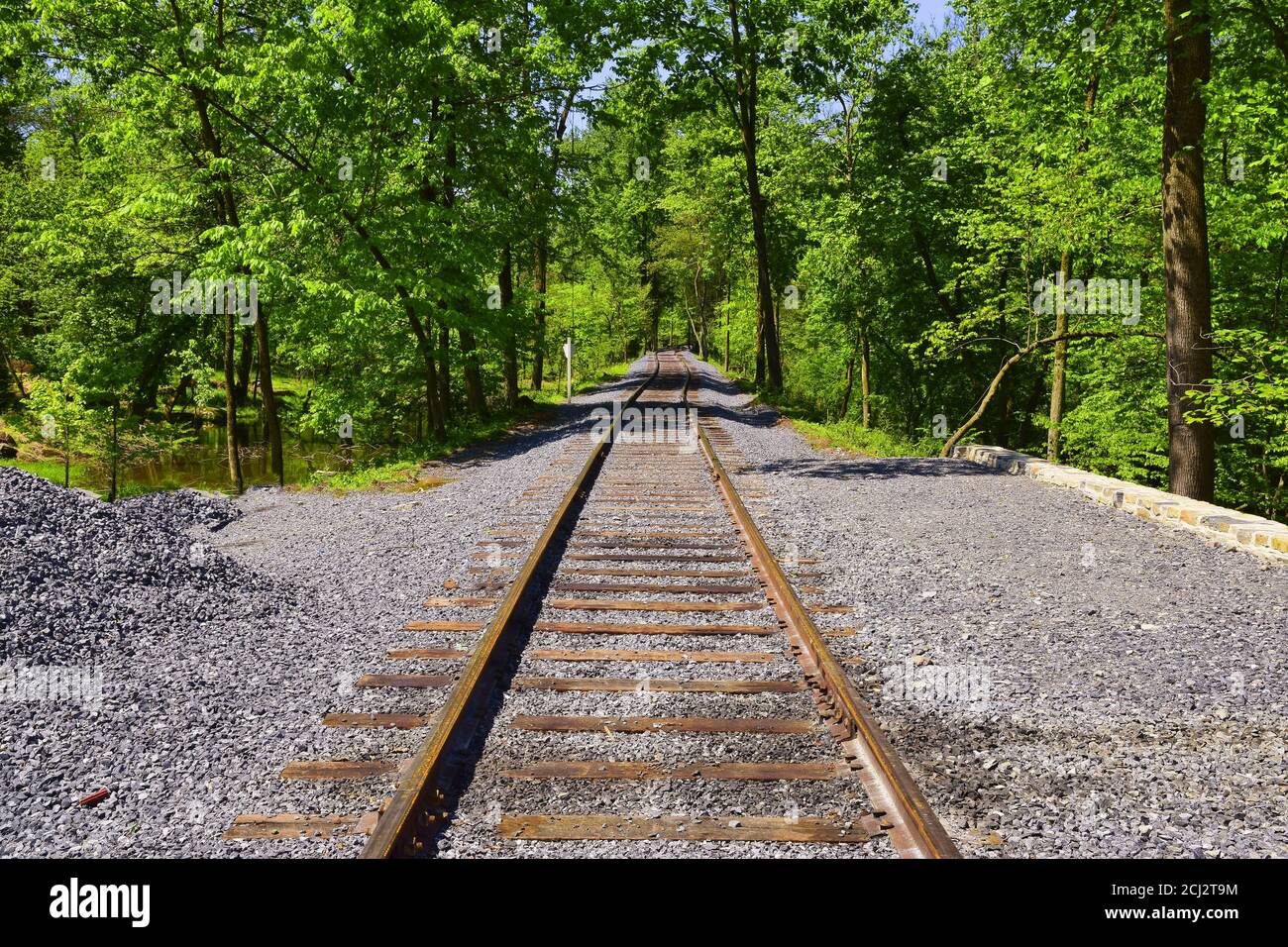 Railway track surrounded by greenery under the sunlight at daytime Stock Photo - Alamy