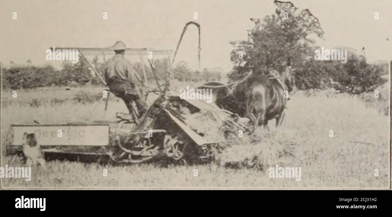 . Coronation souvenir . 6-furrow Engine Gang. A Deering Binder in East ...