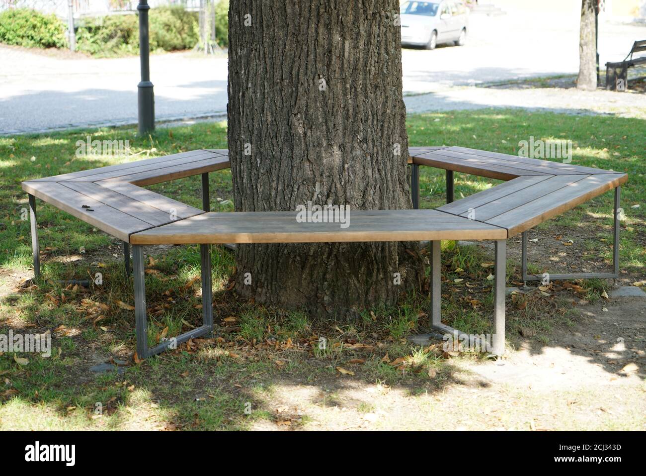 Round wooden bench around a tree Stock Photo - Alamy