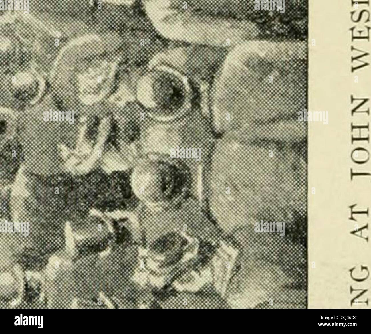 T dewitt talmage hi-res stock photography and images - Alamy