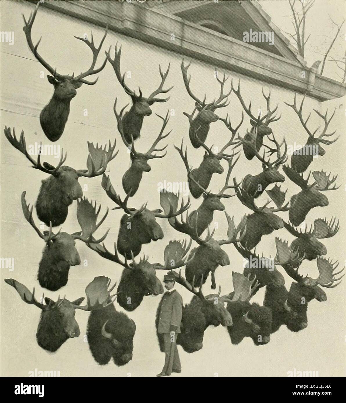 Card 821 hi-res stock photography and images - Alamy