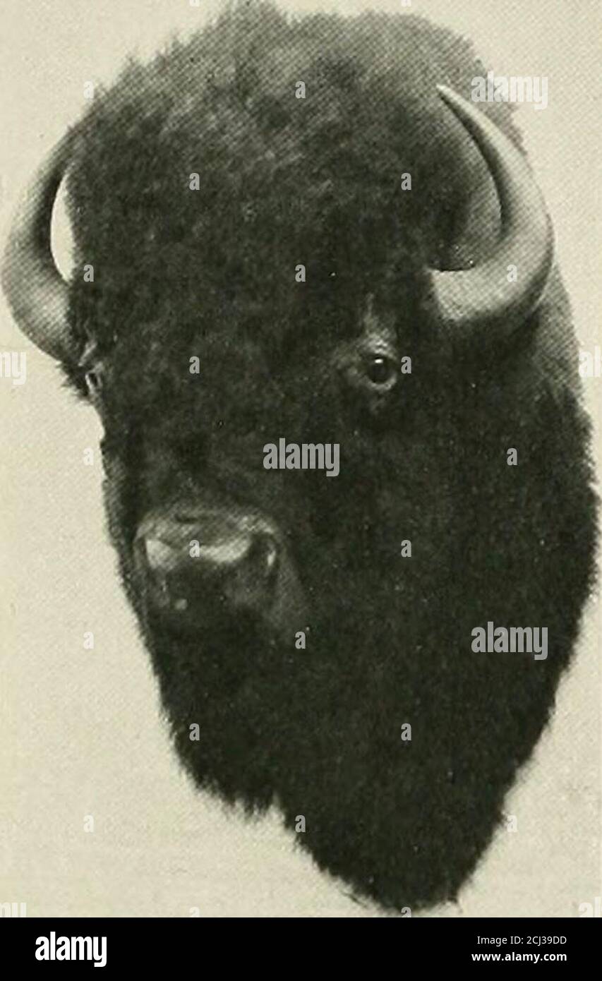 Wide spread form hi-res stock photography and images - Alamy