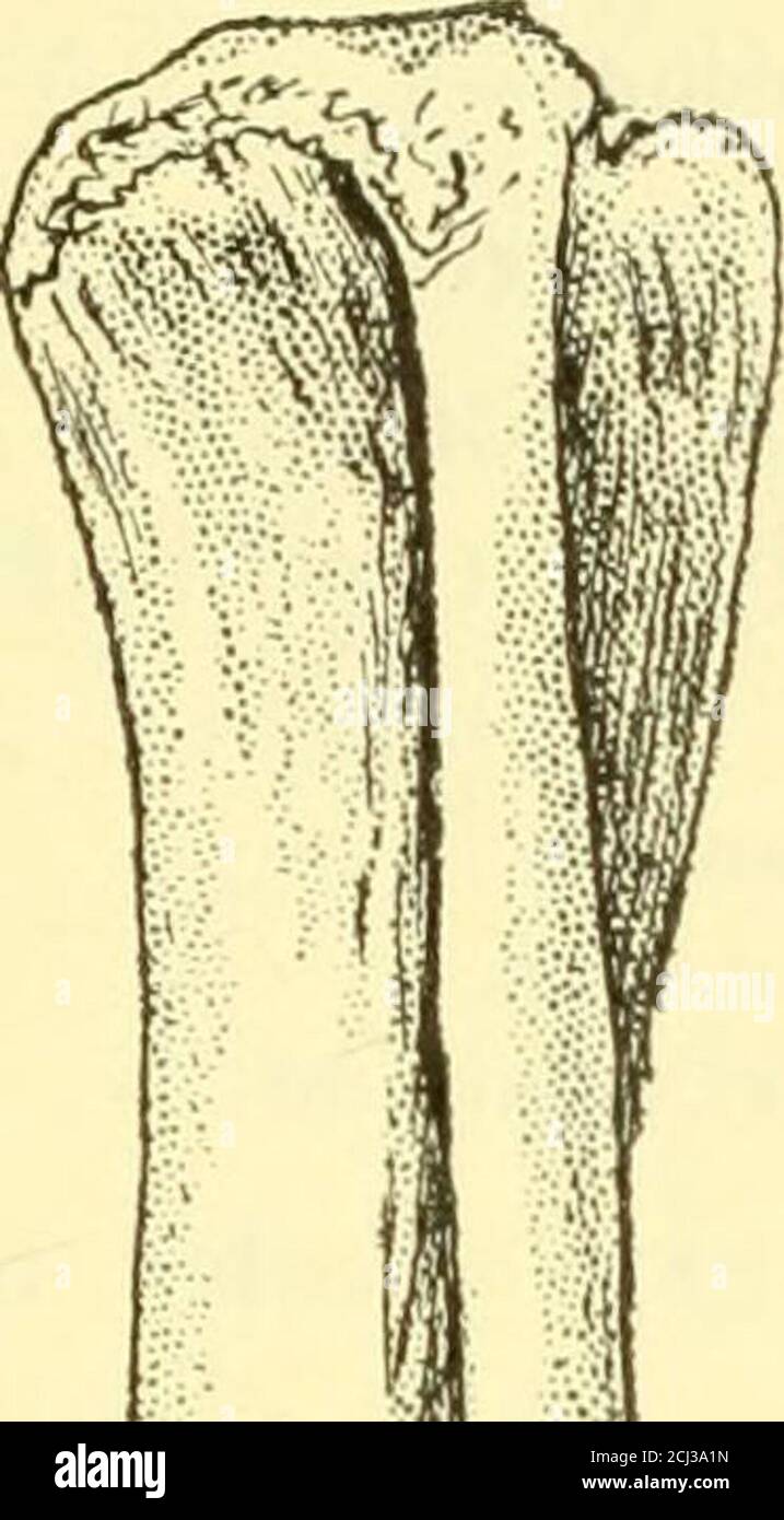 . The Deseado formation of Patagonia Stock Photo - Alamy