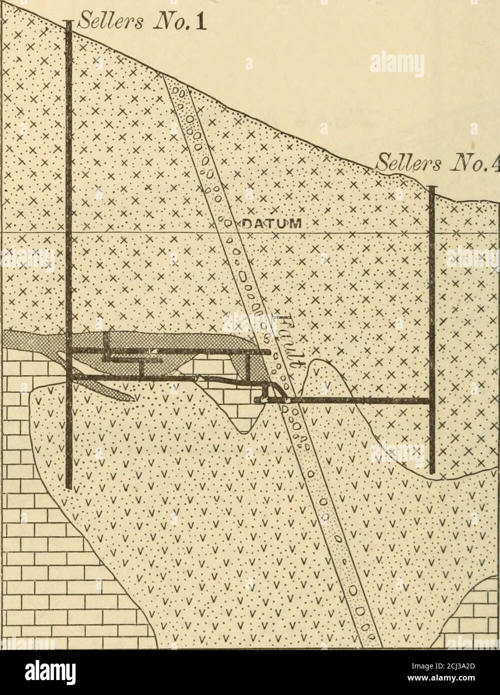 Columnar sheets hi-res stock photography and images - Alamy