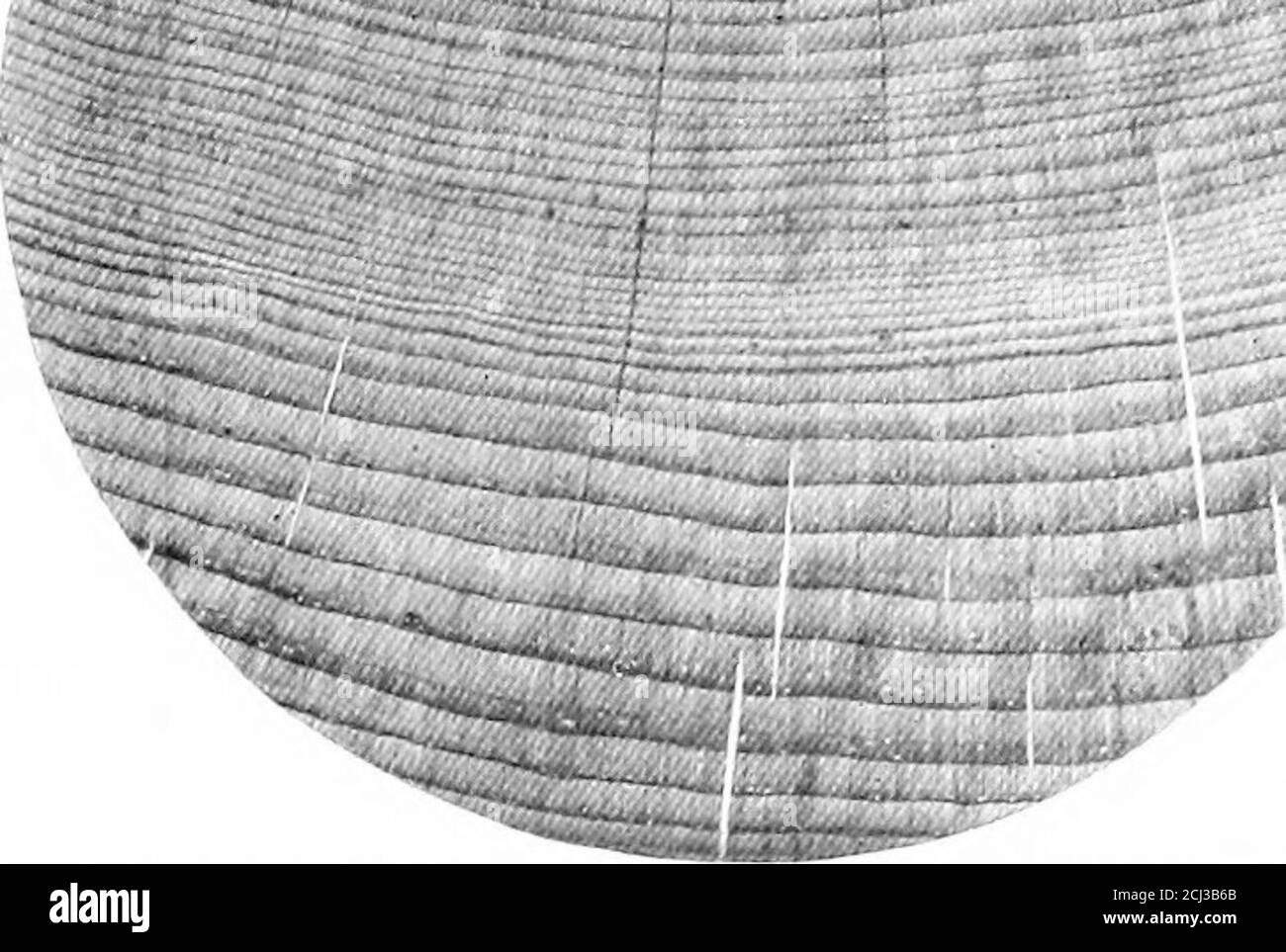 Is Wood Non Porous at Nora Weeks blog