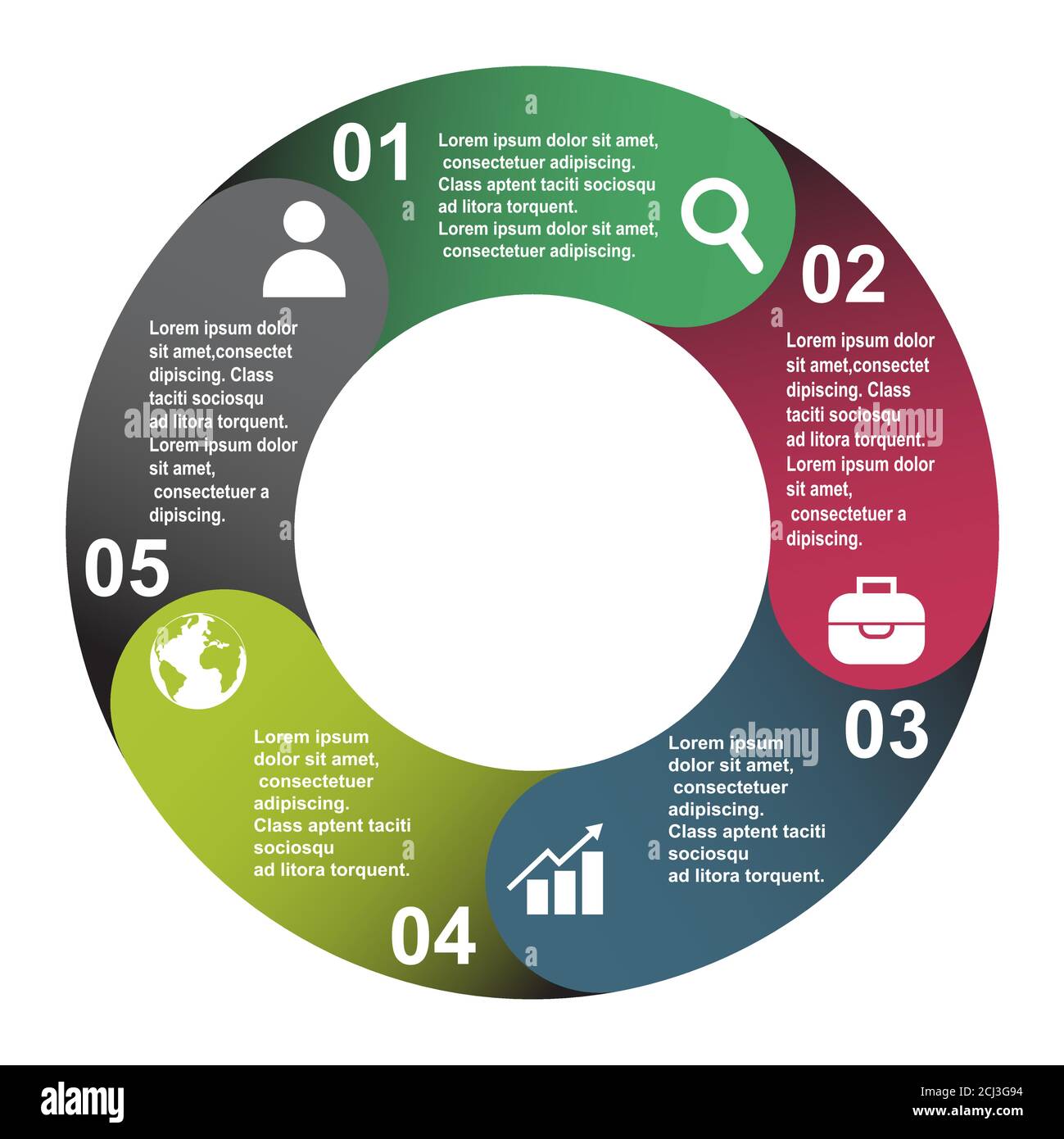 5 steps vector element in five colors with labels, infographic diagram ...