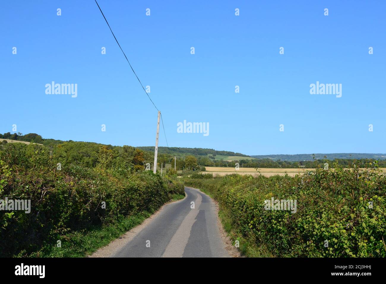 Country lane called Pilgrims' Way perhaps in medieval times used by ...
