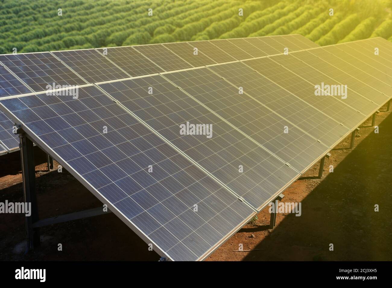 several plates with cells for capturing solar energy Stock Photo - Alamy