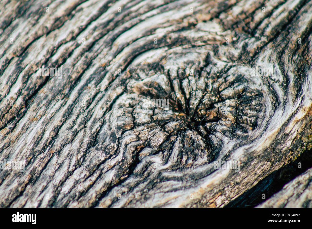 Closeup of a rustic wooden bridge spanning a pond in the french ...