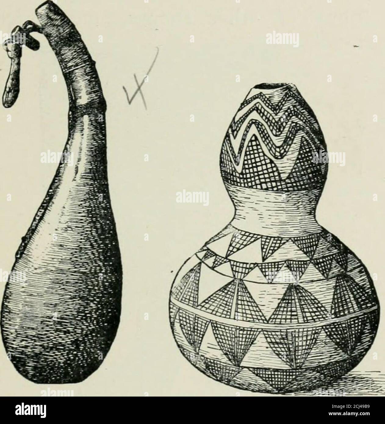 . The Victoria Nyanza; the land, the races and their customs, with ...