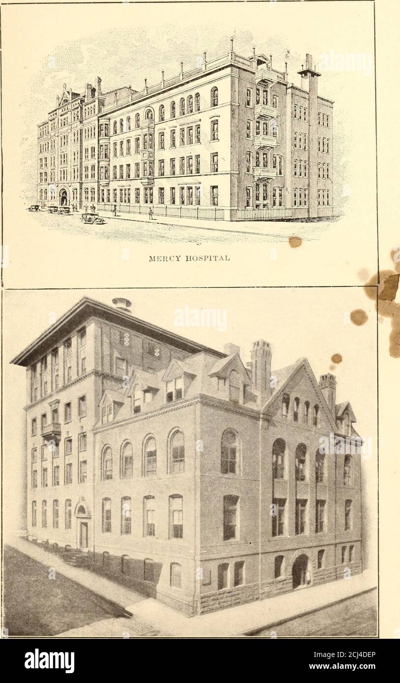 . School of Medicine Catalog 1911-1924 . spital 38 Springfield State ...