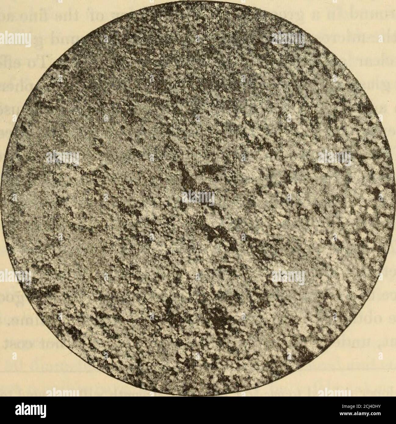 . Transactions . Longitudinal section of rolled bar-iron. X 45 ...