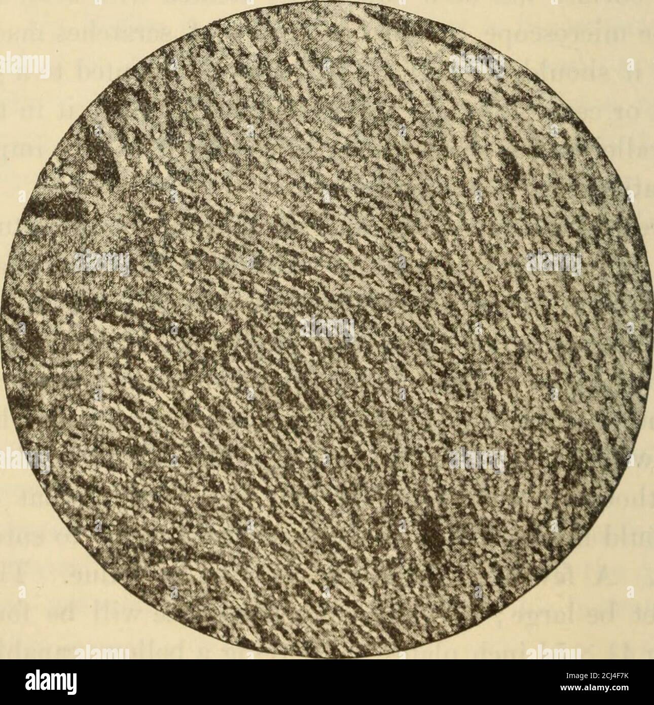 . Transactions . No. 3 gray pig-iron. X 50 diameters. Fig. 2.. White ...