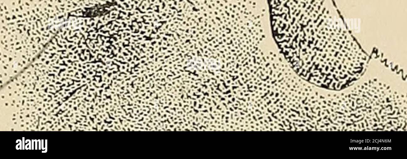 Embrasure teeth hi-res stock photography and images - Alamy