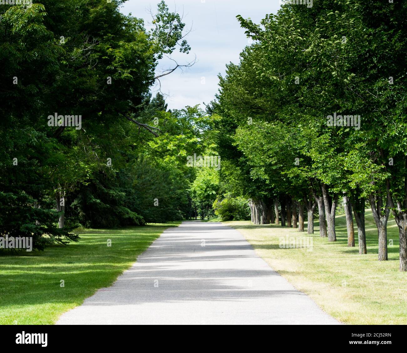Calgary parks hi-res stock photography and images - Alamy