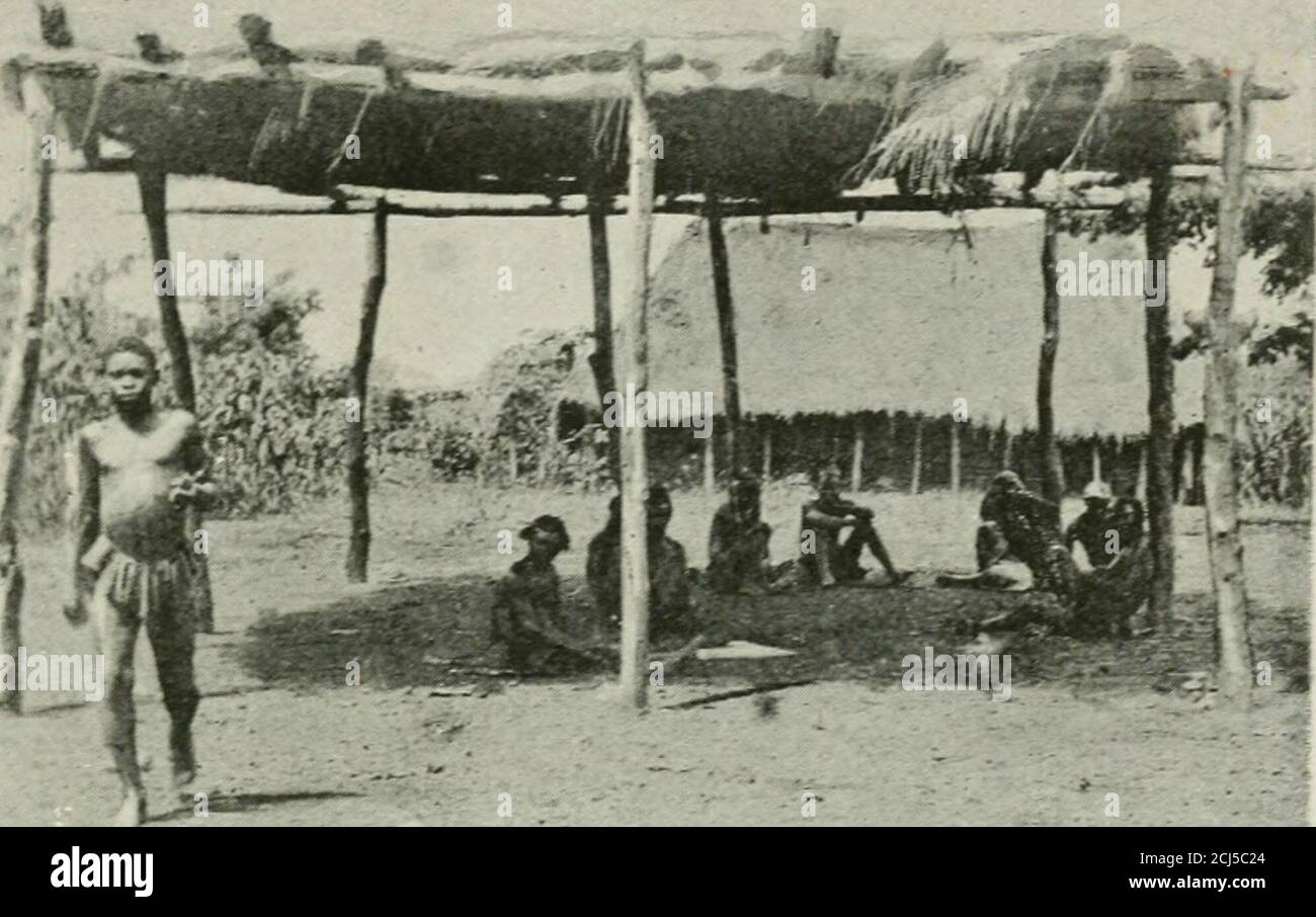 Route des palmiers hi-res stock photography and images - Alamy