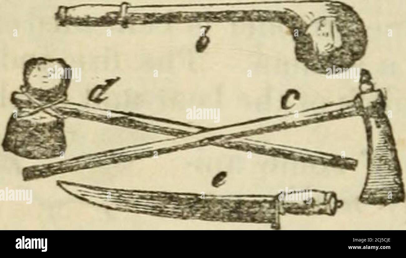 Wampum shells hi-res stock photography and images - Alamy