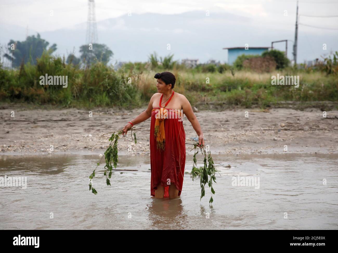 Aghada plant hi-res stock photography and images - Alamy