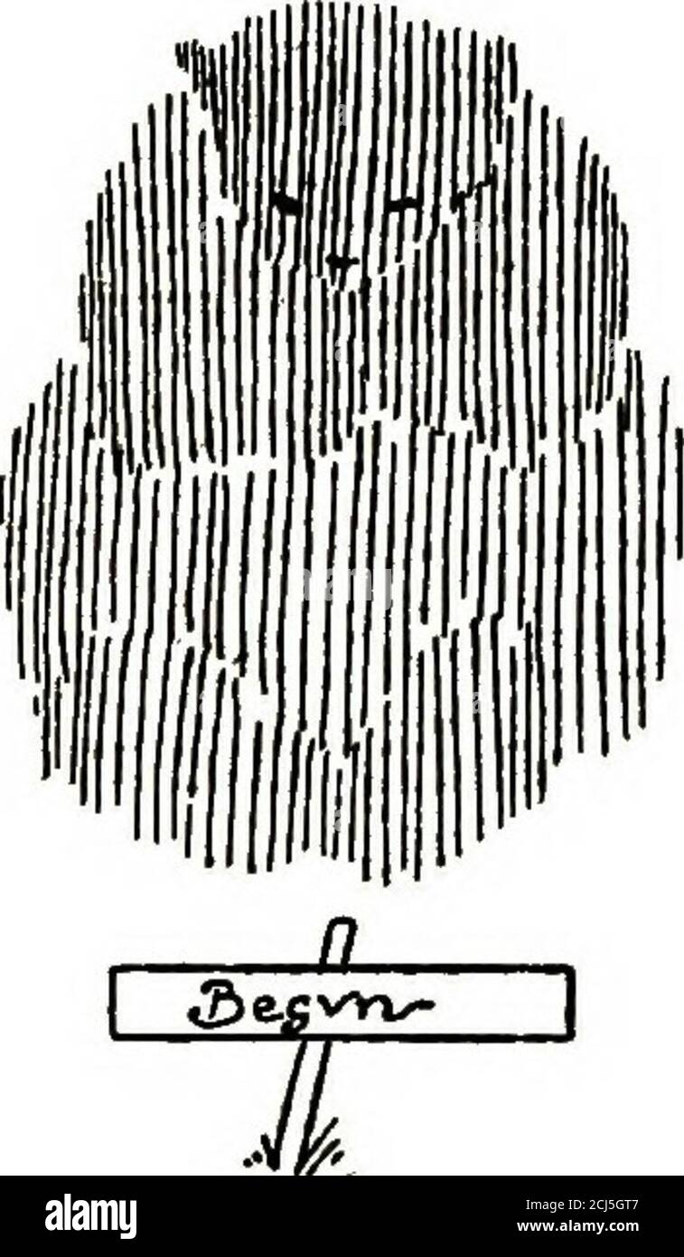 . Beasts and men . slumberingpeacefully, he arose and tiptoed softly ...