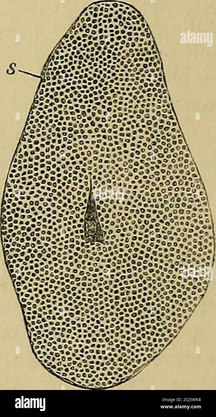 Junction dot hi-res stock photography and images - Alamy