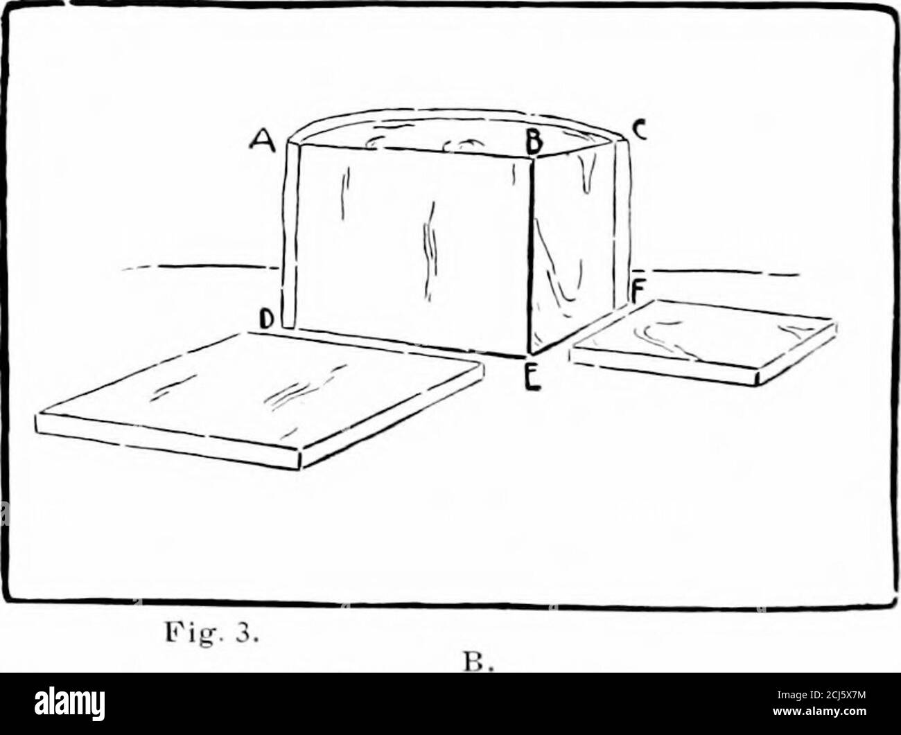 . Wood and forest . Fig. 2. Ginko Leaf. A /^^ c J!-.ir, w E A.. A, B, C ...