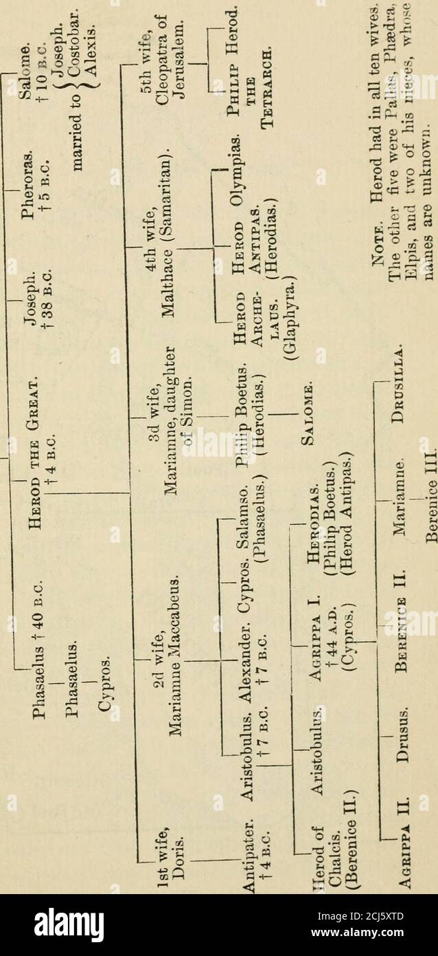 . A history of the Jewish people during the Maccabean and Roman periods ...