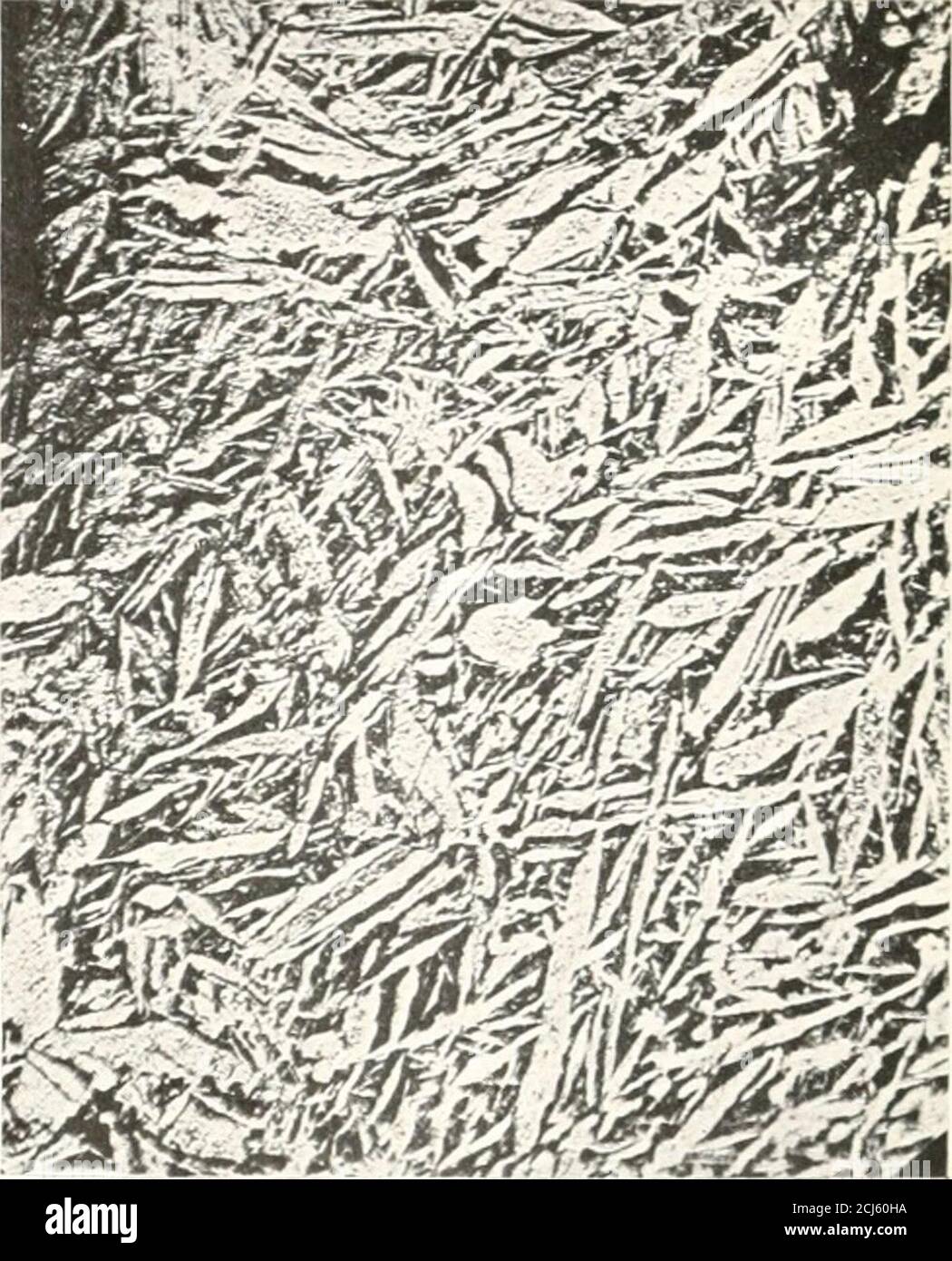 . A microscopic study of the silver ores and their associated minerals ...