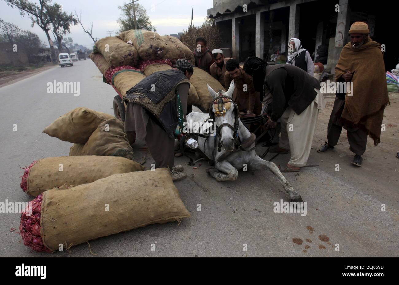 Overloaded cart horse hi-res stock photography and images - Alamy