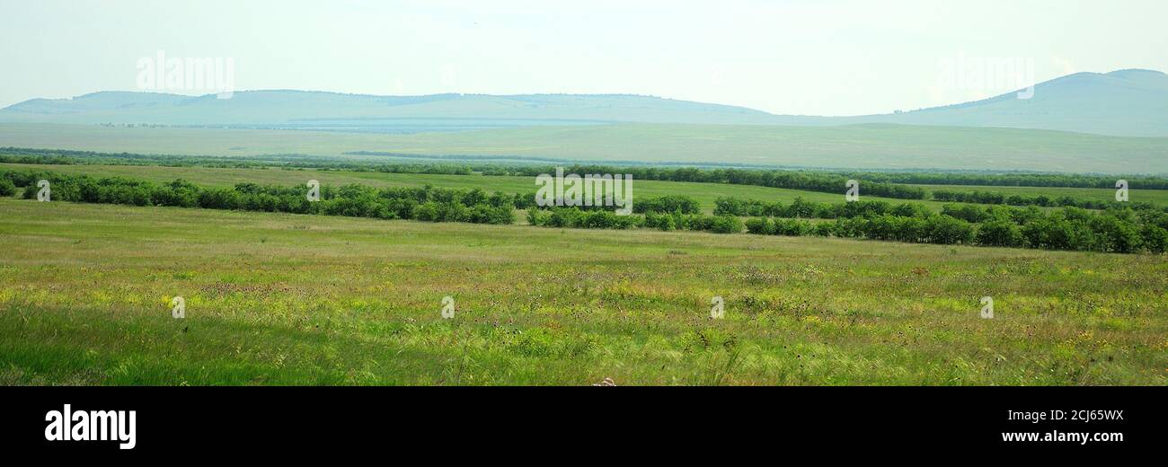 A panoramic shot of the endless steppe, with sparse bushes and high ...