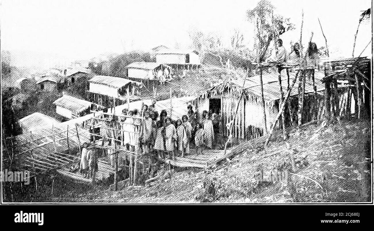 . The Lushai Hills : a story of the Lusahi pioneer mission . - wish to ...