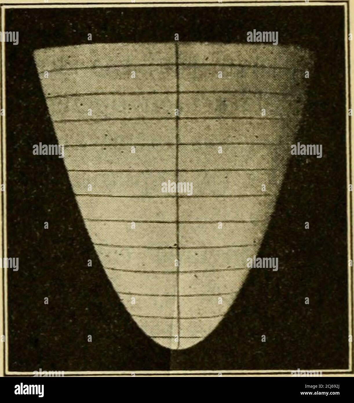 Elliptic paraboloid hi-res stock photography and images - Alamy