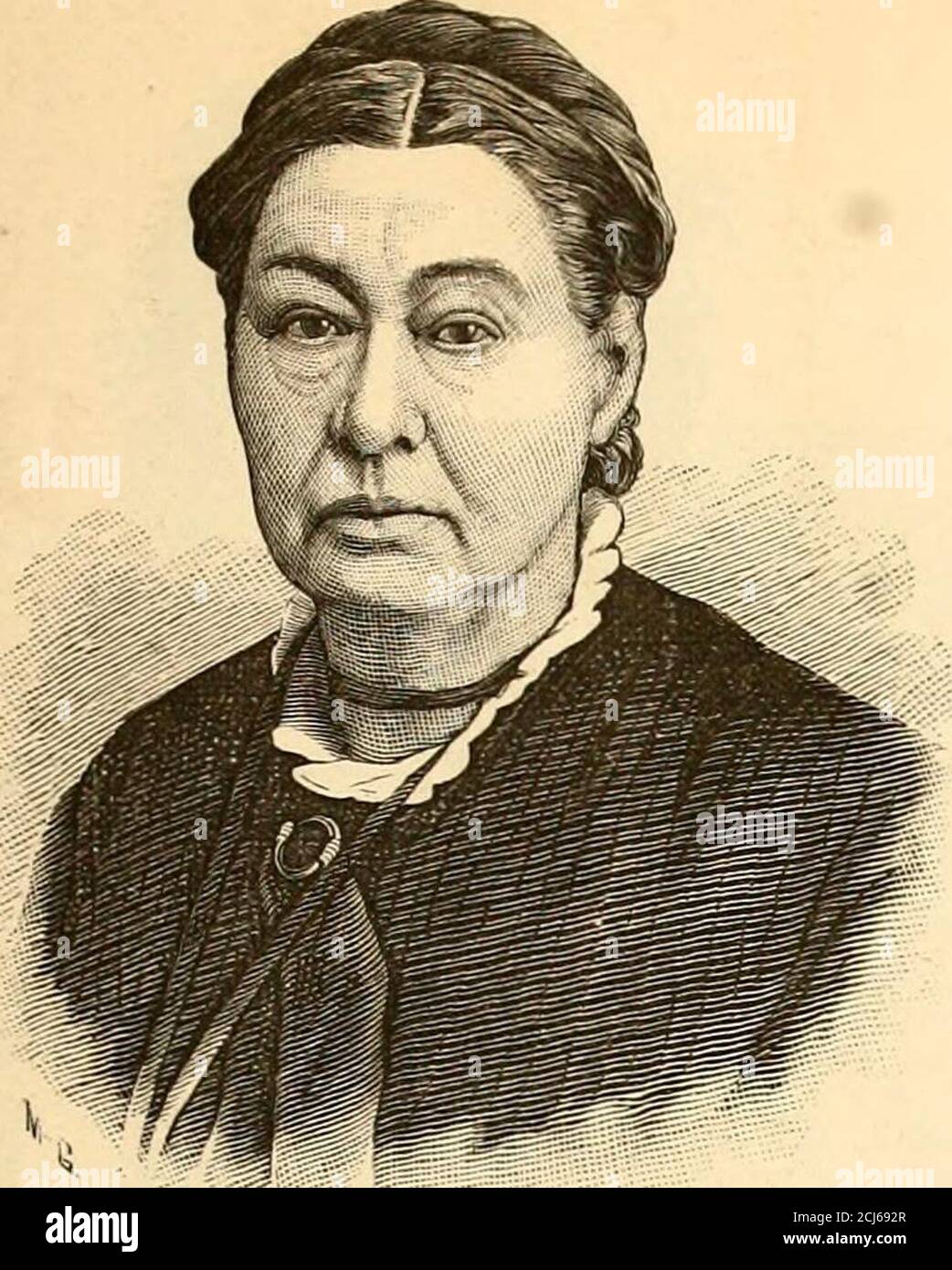 . History of Ingham and Eaton counties, Michigan . WHITE OAK. 331 Stock ...