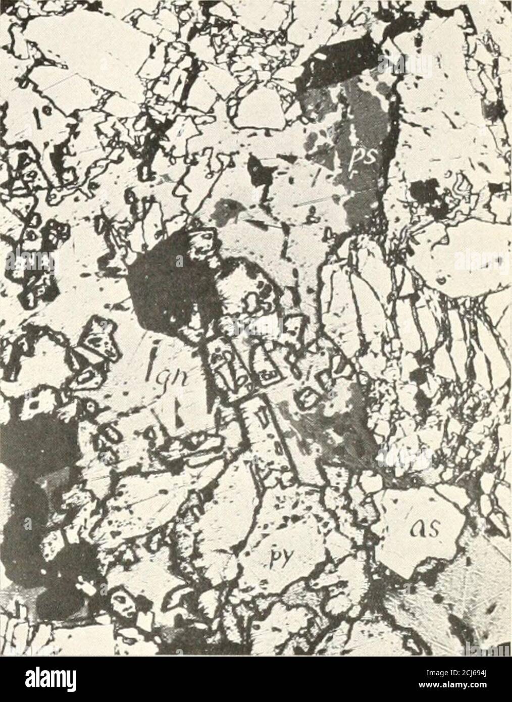 . A microscopic study of the silver ores and their associated minerals ...